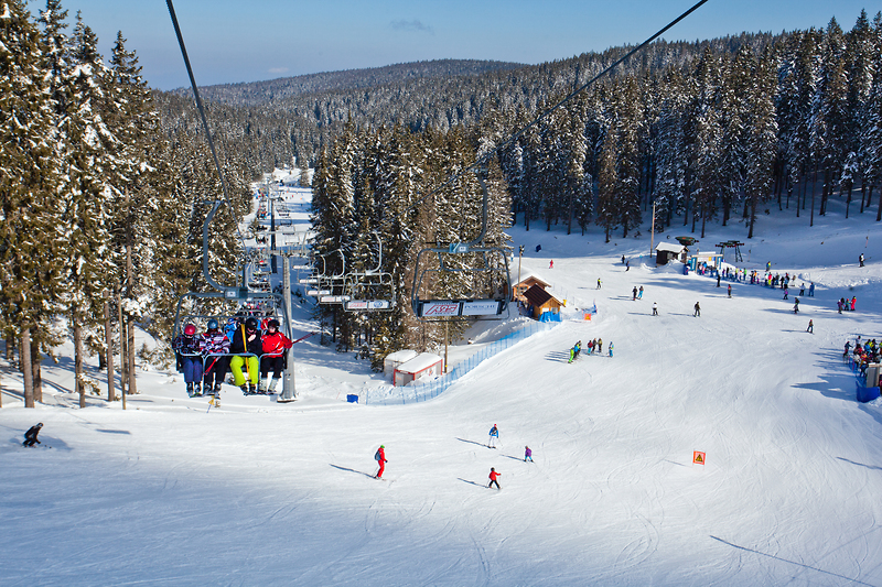 Rogla-Pohorje - GoWild Slovenia
